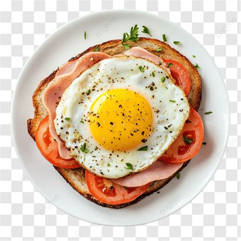 달걀 프라이와 토마토 조각을 곁들인 맛있는 토스트 계란을 곁들인 아침 토스트 고급 오픈 샌드위치 토스트에 계란 후라이 Png 일러스트 및 이미지 에 대한 무료 다운로드