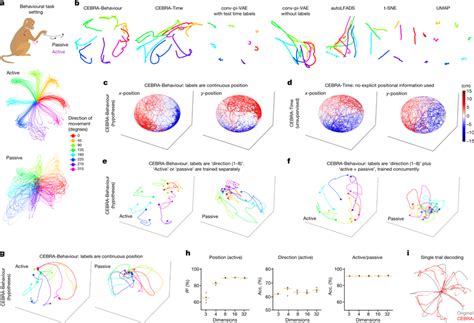 Forelimb Movement Behaviour In A Primate A The Monkey Makes Either