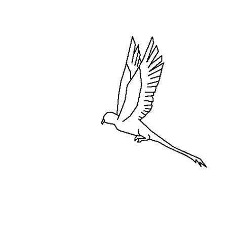 Pixilart Bird Flying  Base By Coralqueen