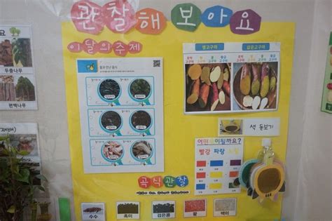 만3세 과학영역 평가인증 준비하면서 영역구성을 하였어요 첫번째로 과학영역 입니다 저희반은 만3세 유 과학영역 5