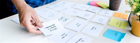 portal card sorting activity cca portal