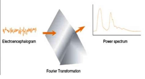 12 Producing The Power Spectrum From The Raw Eeg Signal 39 Download Scientific Diagram 12 Producing The Power Spectrum From The Raw Eeg Signal 39 Download Scientific Diagram
