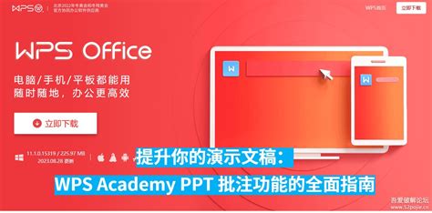 《wps Office 安装与设置全指南：新手用户的详细步骤教程》 Wps官网
