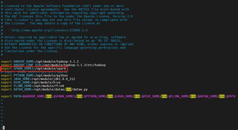 任务类型 Spark 《apache Dolphinscheduler 中文版 321》 Devlive 开源社区