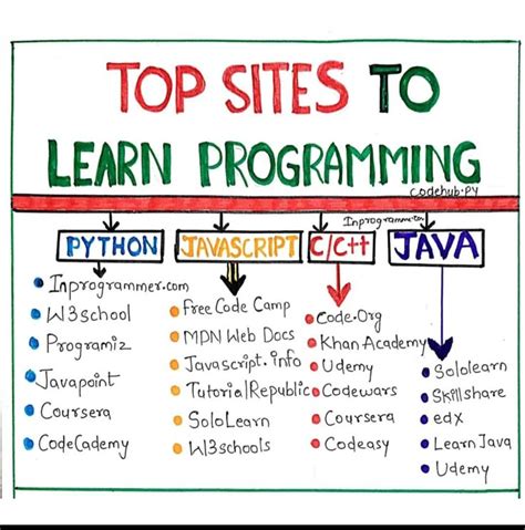 Top Sites To Learn Programming Language 🤩🧑‍💻 Coding Lessons Data