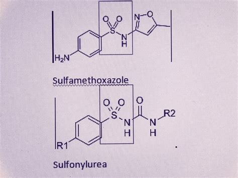 My Patient Is Being Treated For A Urinary Tract Infection With