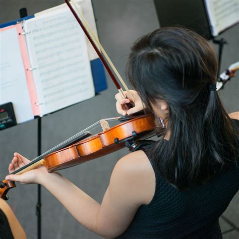 Fine Tuners For Violin How To Use Them Teds List
