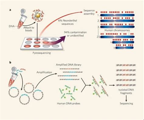 4000张绝美natureandscience插图配色高级，构图完美 哔哩哔哩
