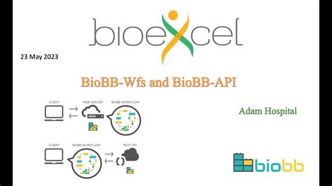 Bioexcel Webinar 69 Biobb Wfs And Biobb Api Youtube