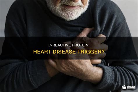 C Reactive Protein Heart Disease Trigger Medshun