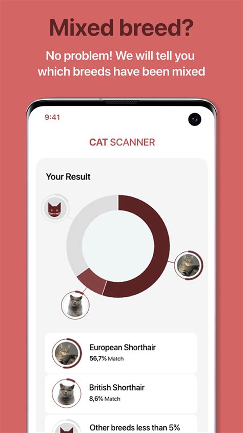 Cat Scanner Breed Recognition Apk For Android Download Cat Scanner Breed Recognition Apk For Android Download