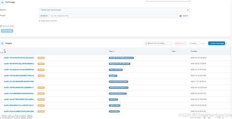 14 Docker 轻量级可视化工具 Portainer的详细安装步骤常规使用详细说明portainer安装教程 Csdn博客