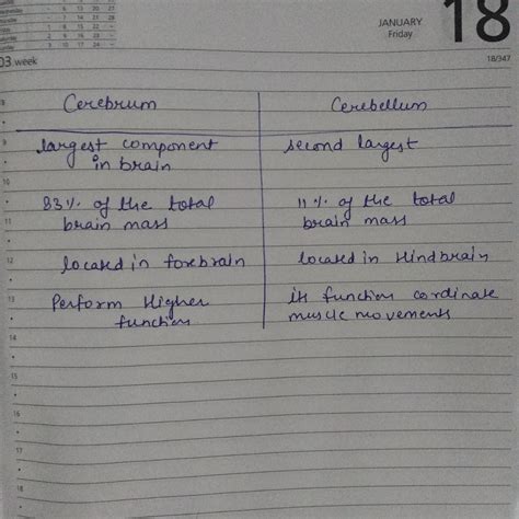 List In Tabular Form Three Distinguishing Cerebellum In Three