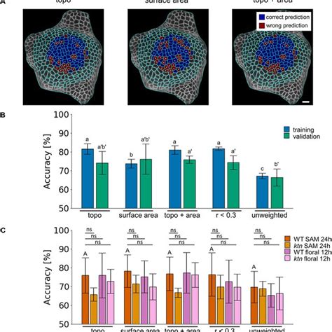 Concordance Between Observed And Predicted Topologies The Cell