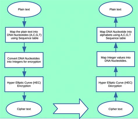 Dna Encryption And Decryption Process Download Scientific Diagram