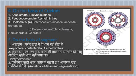 General Principle Of Taxonomy Taxon And Some Definition Of Species Pptx