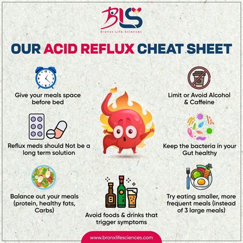 Our Acid Reflux Cheat Sheet Bronxx Life Sciences In 2024 Acid