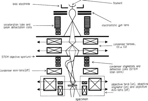 Schematic Of The Probe Forming Optics In The Jeol 2010f Stem