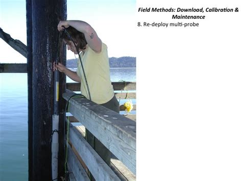 Hydrology Continuous Water Quality Tidal Marsh Monitoring