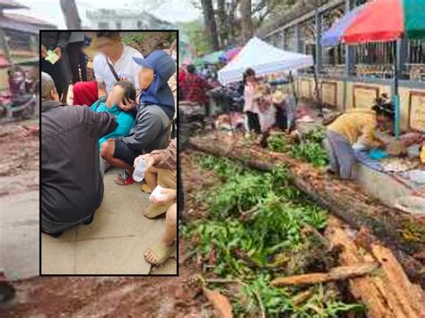 Tachileik News Agency တာချီလိတ်မြို့ရှိ ကိုးမြို့ရှင် နတ်နန်းအတွင်းမှ သစ်ပင်သစ်ကိုင်း ကျိုးကျမ