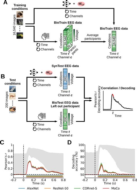 Evaluating The Prediction Accuracy Of Linearizing Encoding Models Which