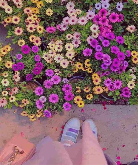 عکس پروفایل دخترونه 2024 راهنمای انتخاب بهترین‌ها برای شبکه‌های