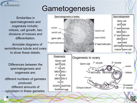 Sexual Reproduction 114 Hl