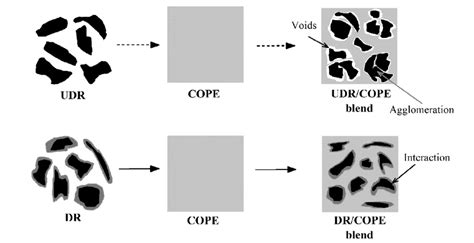 Schematic Representation Of The Microstructure Differences Between The
