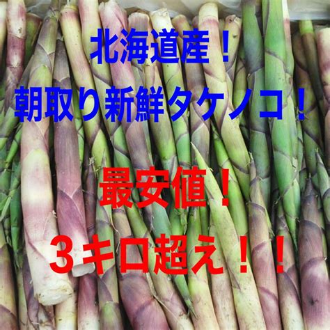 最安値！根曲り竹、姫竹、タケノコ！朝採り！ メルカリ