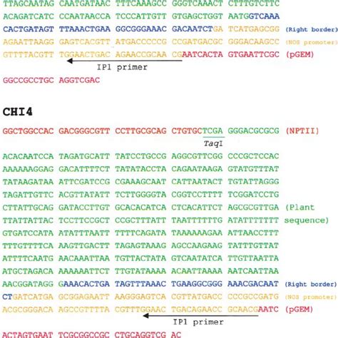 Pdf Complete Sequence Of The Binary Vector Pbi121 And Its Application
