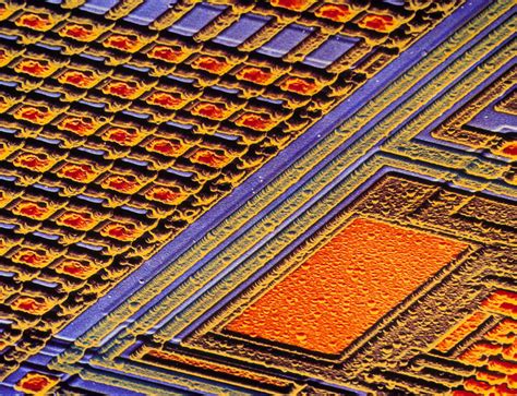 Coloured Sem Of Surface Of An Eprom Silicon Chip Photograph By Dr Jeremy Burgess Pixels