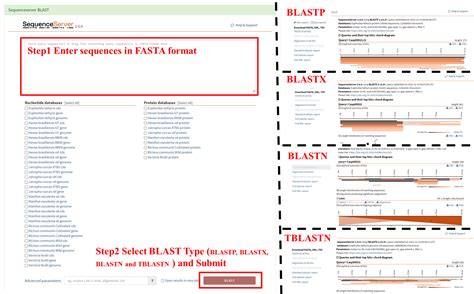 Euphorbiaceae Db Tutorial