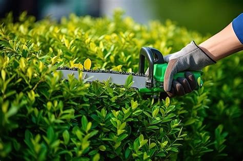 premium photo garden gasoline scissors trimming green bush hedge professional trimming working