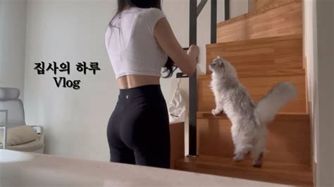집사의 일상 자취 집밥 헬스 Vlog 💪🏻🏃‍♀️‍ ️💘 Youtube