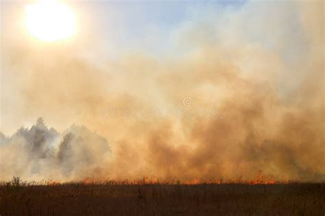 Wildfire Spreading Across Dry Field With Flames Rapidly Burning Grass