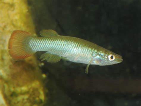 01 0 Copr2019 Philfarrell