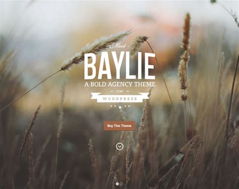 17 Inspiring Examples Of Parallax Scrolling Sites Web Design Ledger