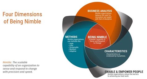 Being Nimble What Does It Mean