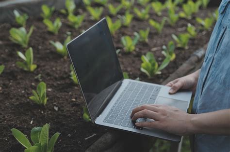 Mujer Agricultora Asiática Usando Tableta Digital En Huerta En Invernadero Concepto De