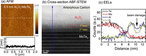 A Afm Topographic Morphology And B Cross Section Abf Stem Image Of Download Scientific