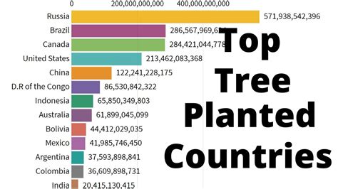 Top Tree Planting Countries In The World 1998 2020 Youtube