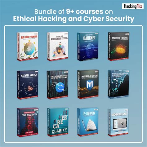 learn hacking online