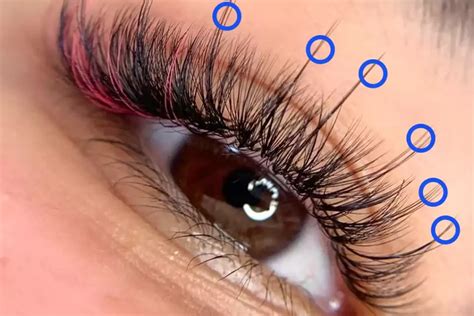Wispy Lash Extensions The Ultimate Guide To Wispy Lash Extensions For Lash Beginners
