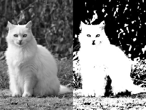 在 Python 中使用 Pillow 进行图像处理【24】 Csdn博客