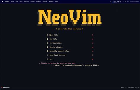 A Neovim Rice That Outperforms Every Other Editor Rneovim