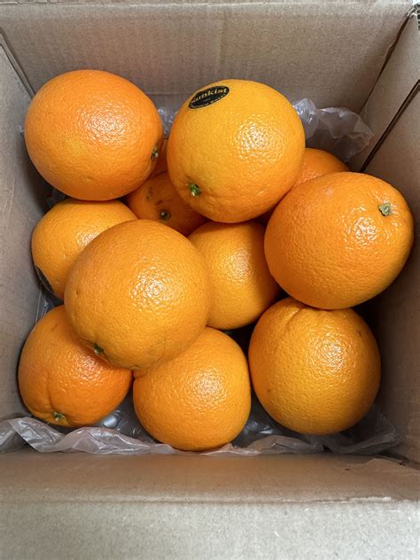 오늘과일 썬키스트 블랙라벨 오렌지