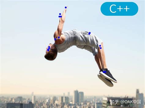 多个开源姿态检测模型项目上手即用实测可行 知乎
