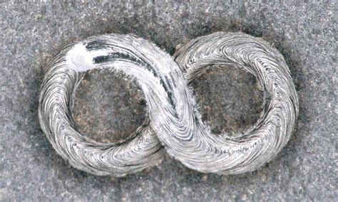 Coherent Labs Laser System Experts Coherent