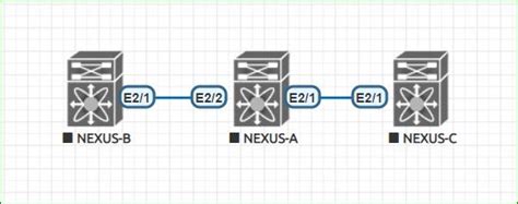 Cisco Fabric Services Network Rare