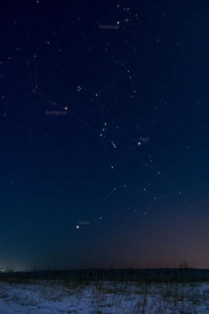 Canis Major And Orion Constellation